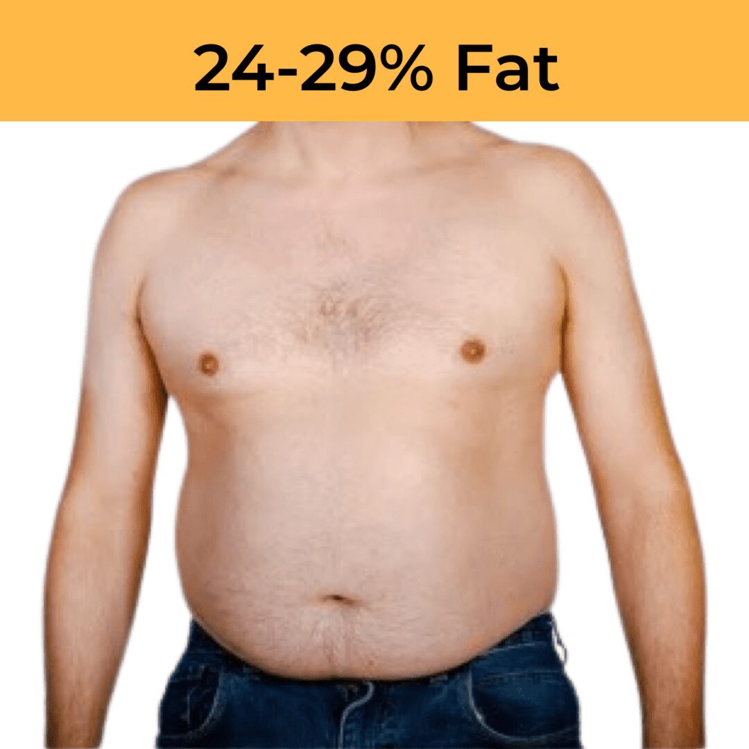 Decoding Body Fat Percentages: A Deep Dive into Health and Well-being | HWK Decoding Body Fat Percentages: A Deep Dive into Health and Well-being | HWK